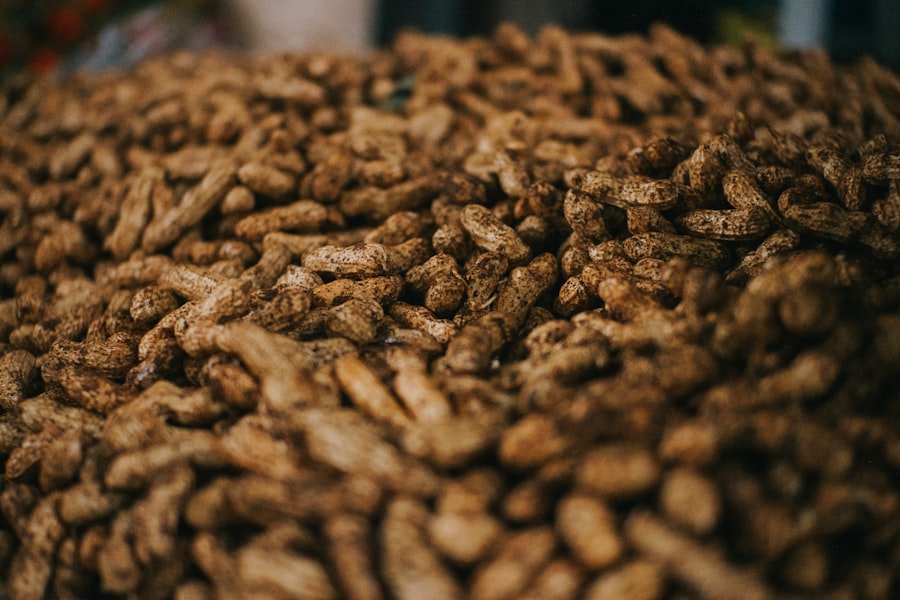 The Surprising Truth: Peanuts Do Grow on Trees - Taglinetoday